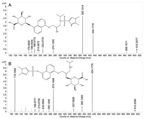 Molecules Free Full Text Glucuronidation Pathways Of 5 And 7
