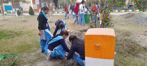 Nss Unit Pm Shri Gsss Mandoli