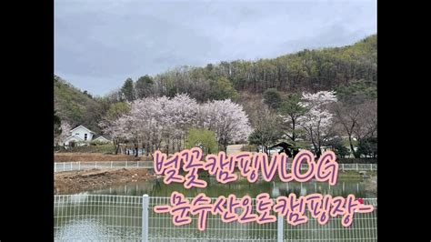 Vlog 벚꽃캠핑 다녀온 후기 문수산오토캠핑장 드론영상 캠핑음식추천 Youtube