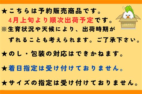予約販売約10kg春にんじんJA島原雲仙4月上旬より順次出荷予定 もぐもぐながさき JAタウン産地直送 通販 お取り寄せ