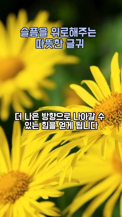 슬픔을 위로해주는 따뜻한 글귀💛긍정의힘 긍정에너지 명언 위로 좋은글 지혜 인생조언 With Vrew Youtube