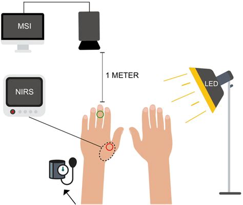 Test Setup During Vascular Occlusion Test Hands Of The Volunteer Download Scientific Diagram