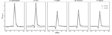 Figure 1 From The Evolution Of G Quadruplex Structure In Mrna