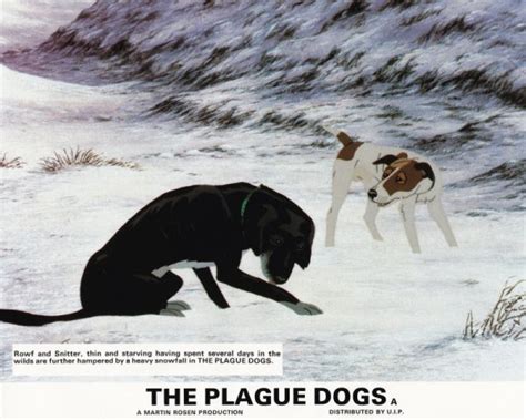 The Plague Dogs 1982 ~ Cinema Lobby Cards