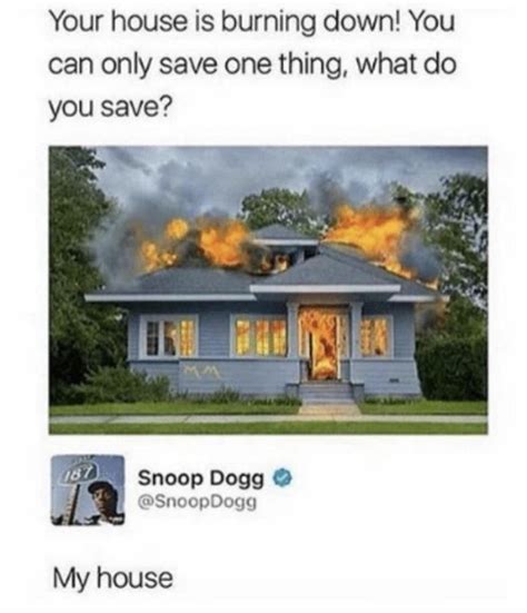 When Celebrity Use 100 Of Their Brain 🧠😭 Rmeme