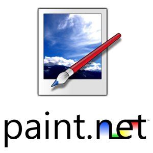 Pain Net Logo Graphic Designing TGC Graphic Design Web Design