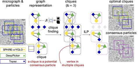 Consensus Is Key Reliable Cryo Em Particle Picking Leveraging Multiple Pickers Using Repic