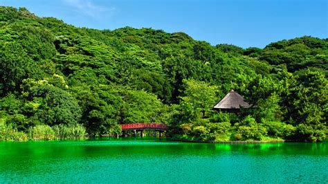 🔥 40 Wallpapers 156 Inch Wallpapersafari