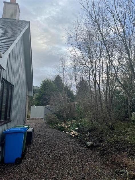 Tree Reduction Ktrees Ltd