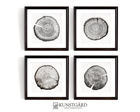 Tree Stump Print Set Of Prints Tree Ring Print Anniversary Gift Wood Slice PRINTABLE Digital