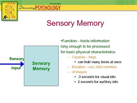 Chapter 6 Memory Stage Model Of Memory