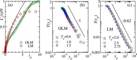 A Plots Of The Average Cluster Size C S T N As Function Of Time For Download Scientific