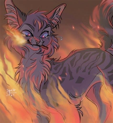 Ashfur Кот воитель Рисунки животных Кошачий эскиз
