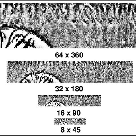 Downsampling By Decimation Example Download Scientific Diagram