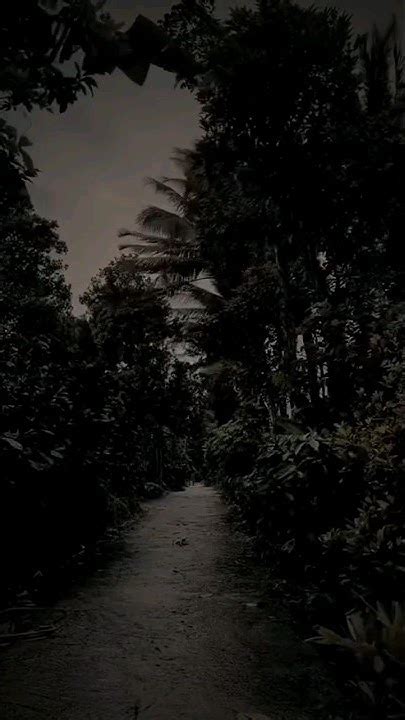 අම්මෝ බය වුනු තරම්😮🥺 Shorts Youtube