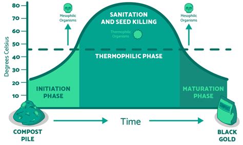 What Is Composting Natures Recycling Compost Connect