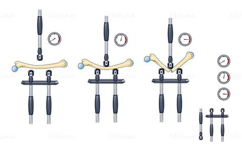 Femur Compression Test Vector Illustration