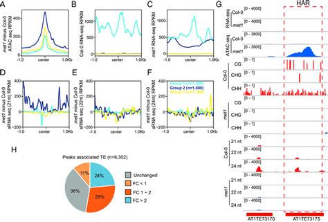 Chromatin Accessibility And Transcription A Metaplot Of ATAC Seq Download Scientific Diagram
