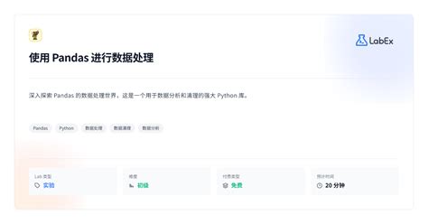 使用 Pandas 进行数据处理 Labex