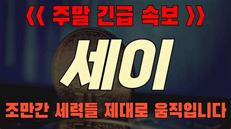 세이 코인🔥 세이코인세이코인전망세이코인분석세이목표가세이전망세이대응세이호재세이차트세이분석