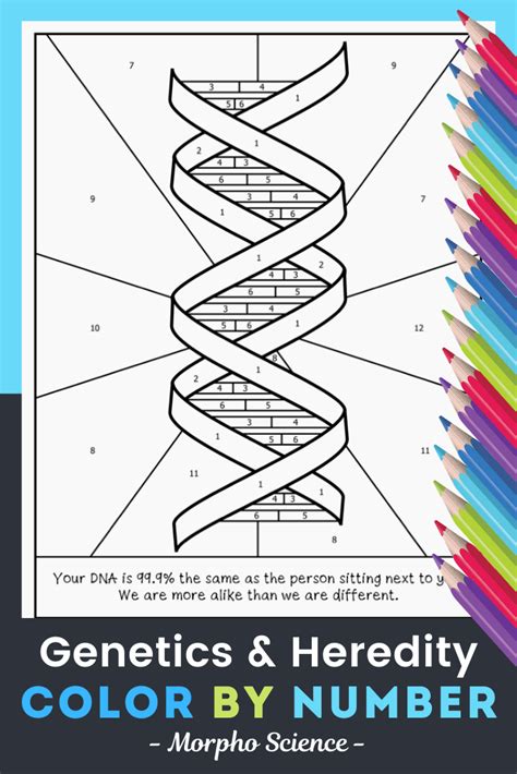 Genetics And Heredity Color By Number Science Color By Number Heredity Science Letter A