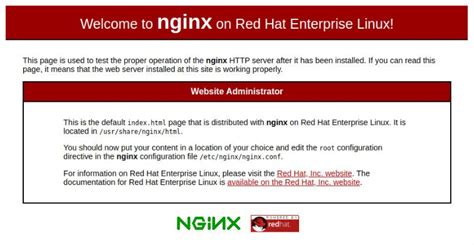 How To Install Latest Nginx On Almalinux Accuwebhosting