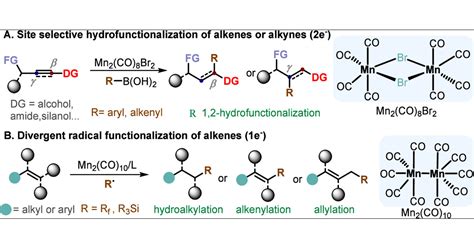 Selective Functionalization Of Alkenes And Alkynes By Dinuclear