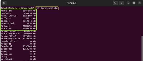 How To Check Total RAM On Ubuntu LinuxWays