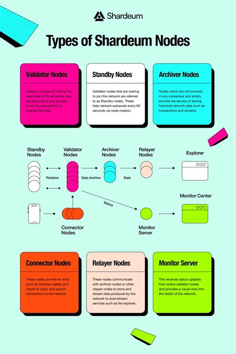 Types Of Shardeum Nodes R Shardeum