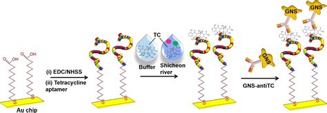 Figure 1 From Gold Nanostar Enhanced Surface Plasmon Resonance Detection Of An Antibiotic At