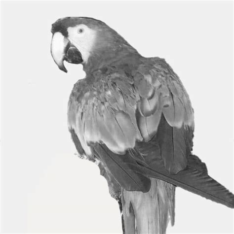 Milana Avinode Group