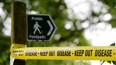 Uk Orders Tougher Biosecurity Measures As Bird Flu Detected