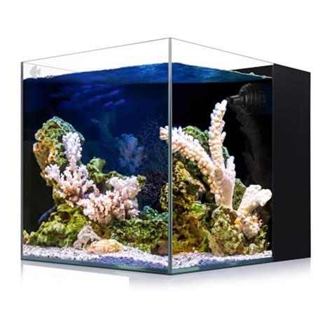 Best Small Reef Tank Saltwater Reef Tank Aquarium Setup