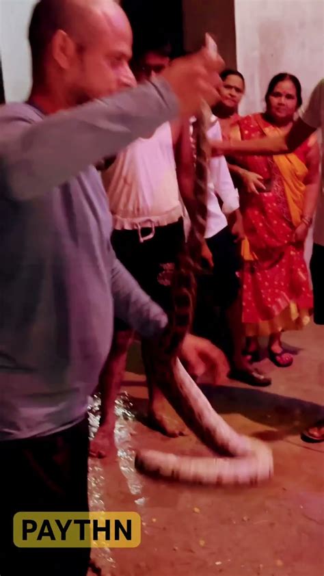 Python 🐍 Ko Kiya Rescue 🛟 Viral Youtube