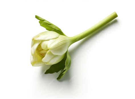 Premium Ai Image A Capturing The Beauty Of Celery On A White Background