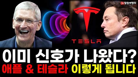 힐링여행자 미국 주식 브리핑 서학 개미 가장 좋아했던 세계 최강 대장주 애플and테슬라 한번 더 운명 갈린다 상승할 종목과