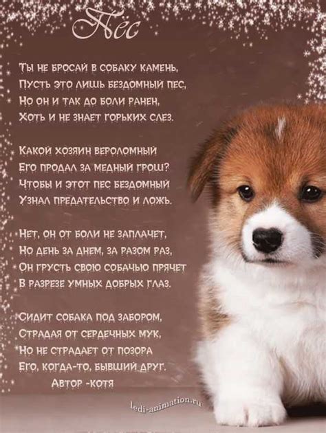 40 коротких стихов про собак и щенков детские стихи