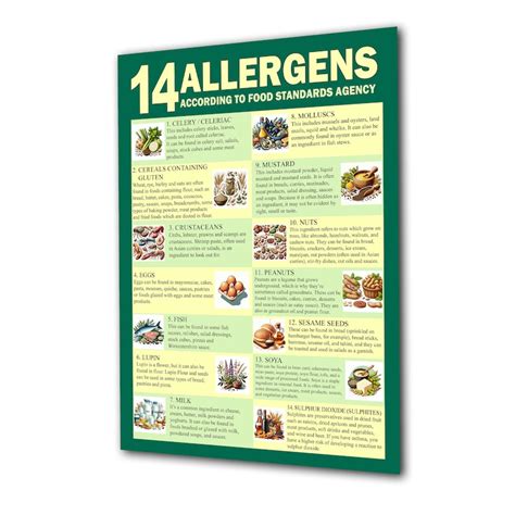 14 Allergens Food Standards Agency Digital Download Illustrated Sign Health And Safety Poster Etsy