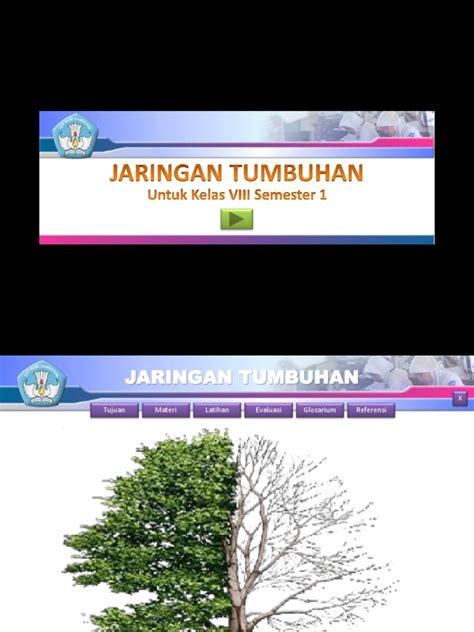 Template Ppt Jaringan Tumbuhan Pdf