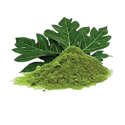 Papaya Leaf Extract Powder At ₹ 750 Kg In New Delhi Id 2856146163712