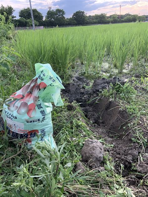 田んぼの中干し しまづんのブログ