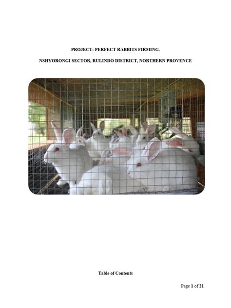 project plan to impliment rabbits final download free pdf expense