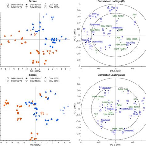 Principal Component Analysis Pca Score Plots And Correlation Loadings