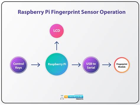 Interface A Fingerprint Sensor With Raspberry Pi 4 The Engineering