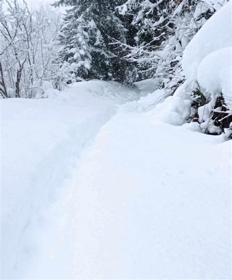 თოვლში ჩაფლული სახლები რა ხდება აჭარაში ფოტოები შუახევიდან Ambebi Ge