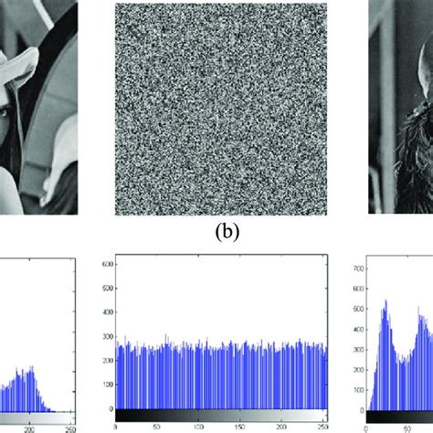 A Plain Image B Cipher Image With Proposed Algorithm C Decrypted
