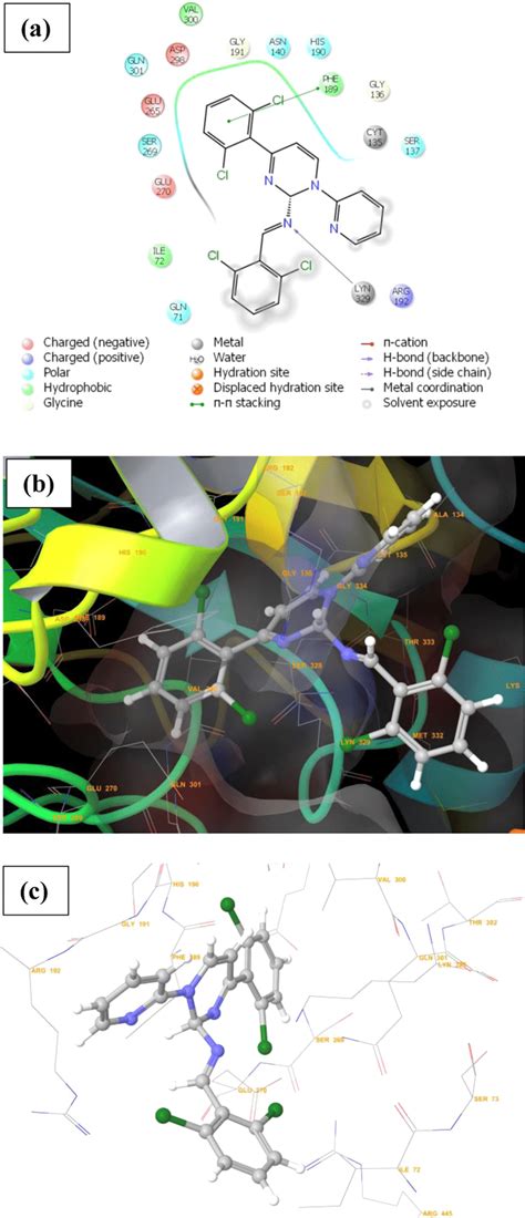 The 2d And The 3d Docking Images A And B Respectively Of The Most