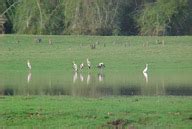 Tourist Places In Wayanad