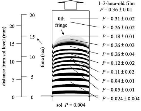 Schematic Diagram Of The Interferometry And The Fluorescence Download Scientific Diagram