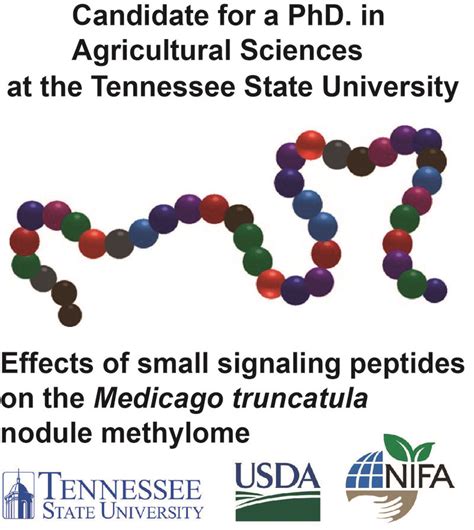 Md Samiul Islam Posted On Linkedin